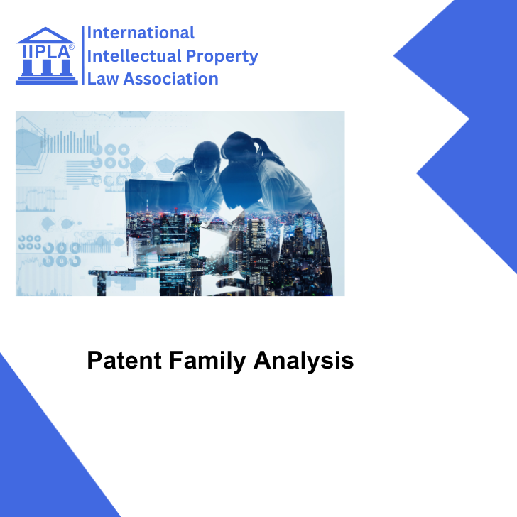 Patent Family Analysis - IIPLA